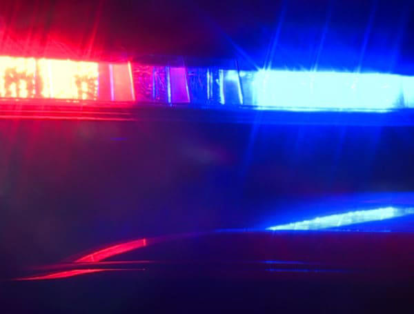 Tesla driver’s quick escape ends in arrest after Winter Haven hit-and-run