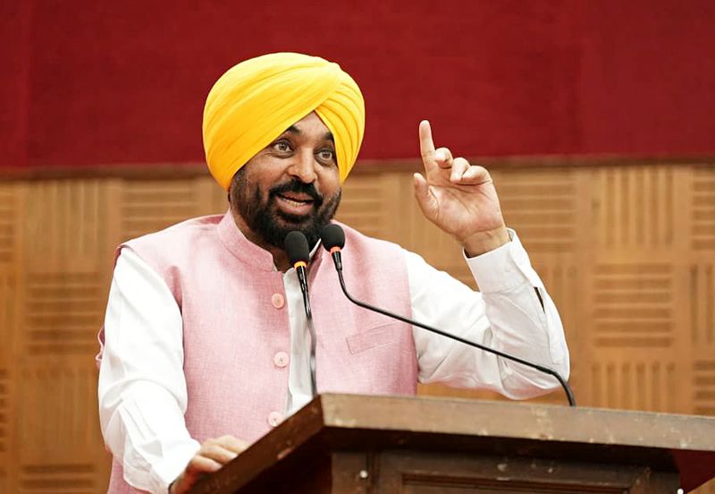 Not me, actor used in fake video: Mann cites 2 forensic lab reports