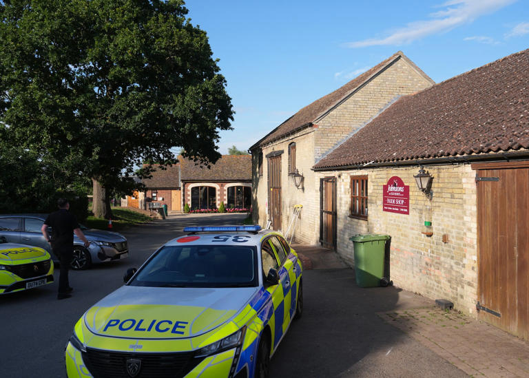 Zoo owner’s wife 'jumped into crocodile enclosure' to save three-year ...