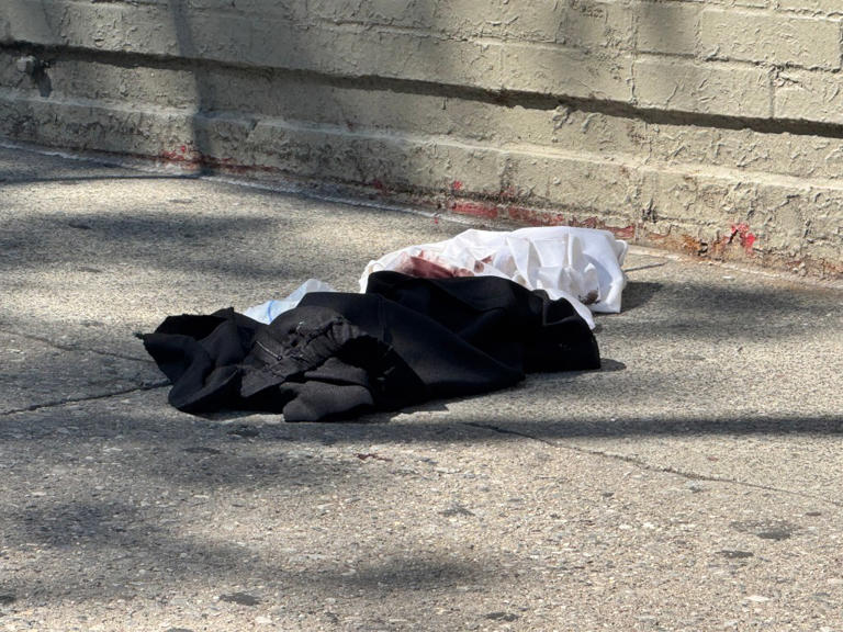 Suspect charged with attempted murder in daylight stray bullet shooting ...