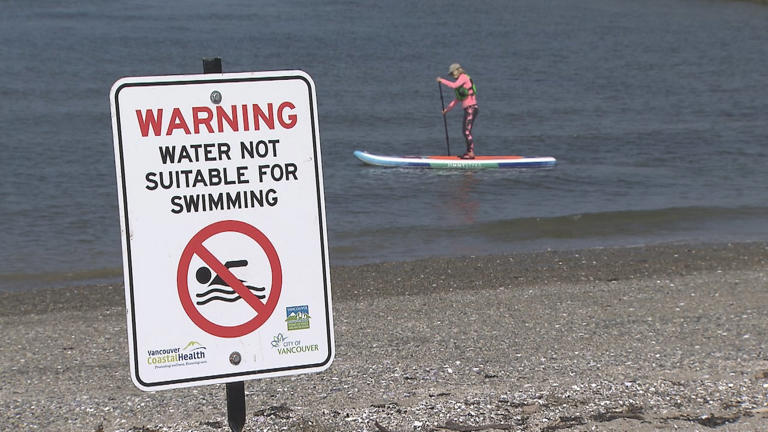 5 Vancouver beaches closed to swimming due to high E coli levels