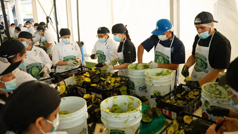 ¡Histórico! Jalisco rompe el récord Guinness del guacamole más grande ...