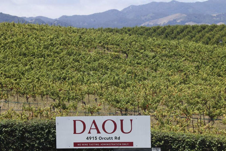 Owner of DAOU Vineyards is downsizing. What does it mean for the SLO ...