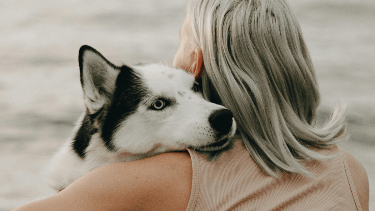Feeling anxious or sad these days? Your dog knows