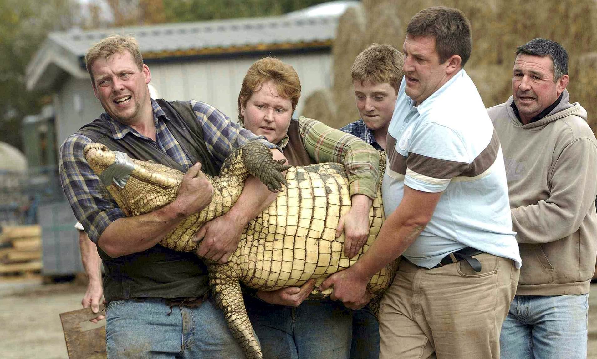 Toddler critical after 'zoo owner's wife rescued him from croc pit ...