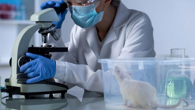 'Everyone on Earth is exposed': Scientists map microplastics deep ...