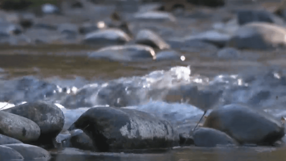 Warm drought conditions threaten Oregon salmon and trout as ODFW urges ...