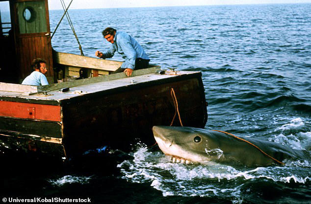 Made-for-movie moment massive shark stalks and encircles Californian ...