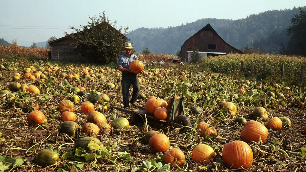 Matt Roloff relists iconic Roloff Farms parcel