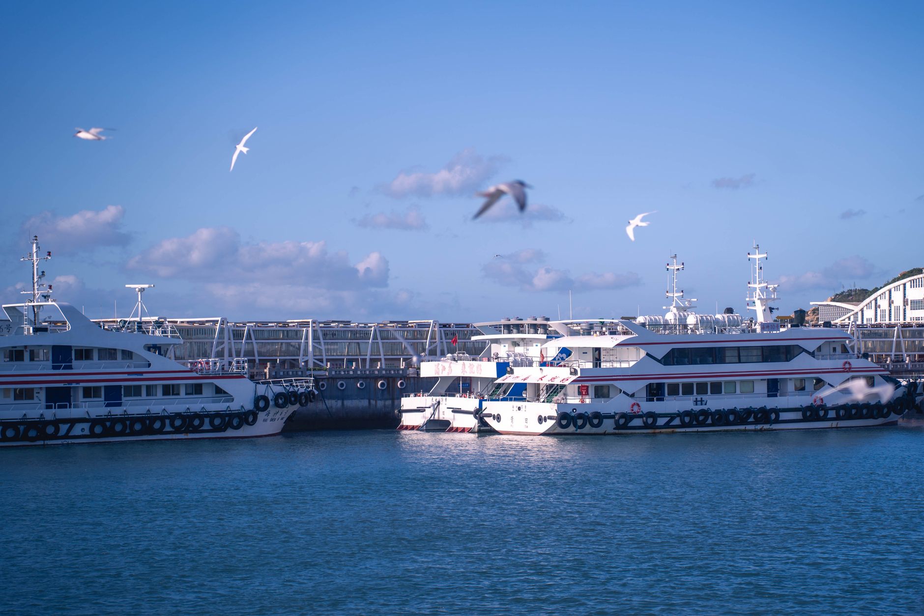 5 ferry options that can make the crossing easier