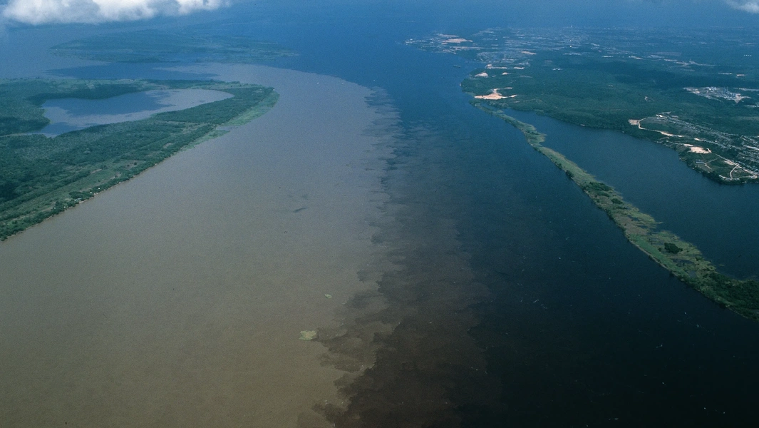 Why the Amazon’s future matters to us all