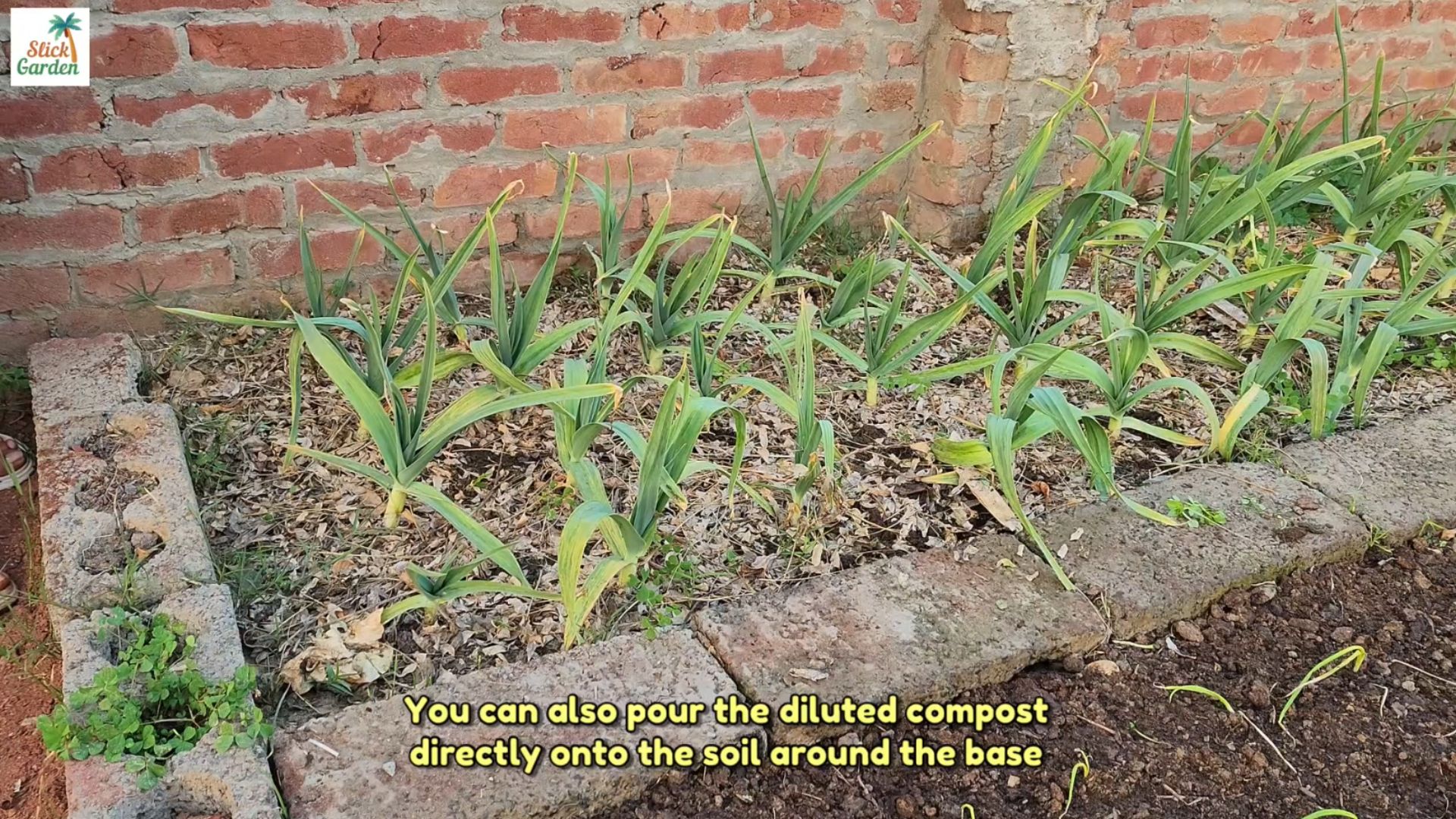DIY liquid fertilizer: Easy compost tea without an air pump