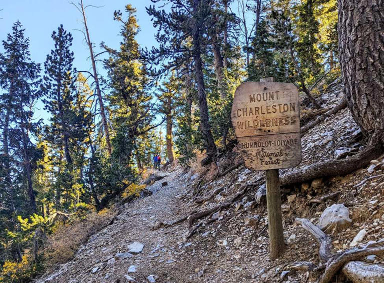 Popular trail at Mt. Charleston to close for a day as dangerous work ...