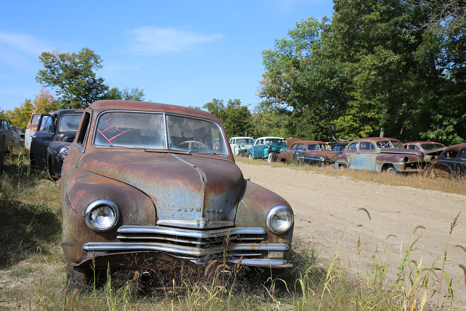 Los hallazgos junkyard de French Lake Auto Parts, Annandale, Minnesota