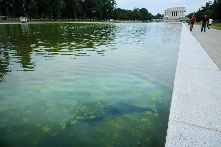Rips appear in Reflecting Pool's new surface after algae turn water green