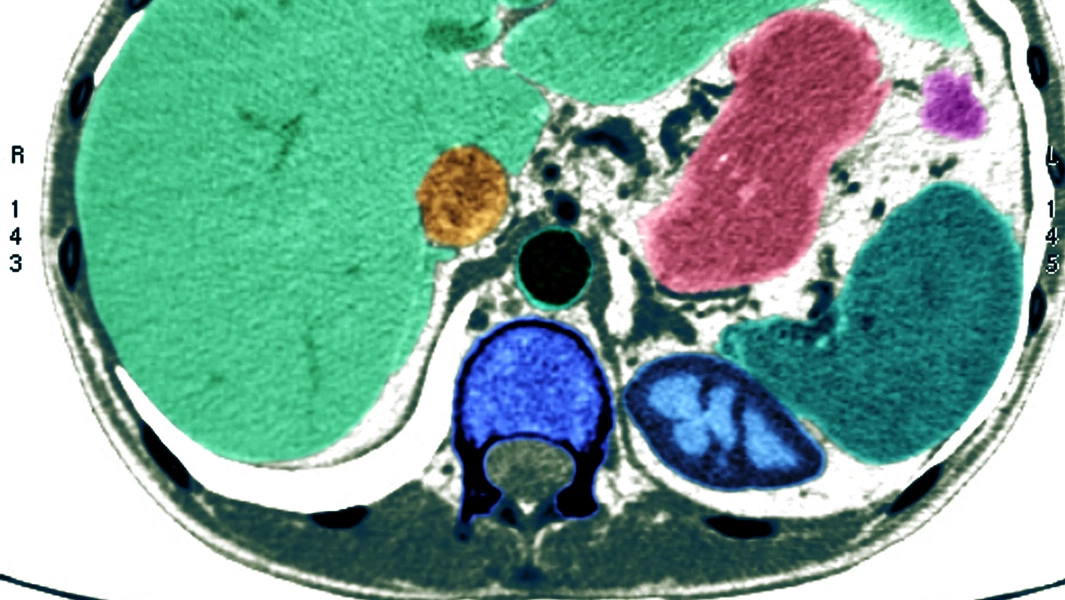 Silent signs and symptoms of fatty liver disease