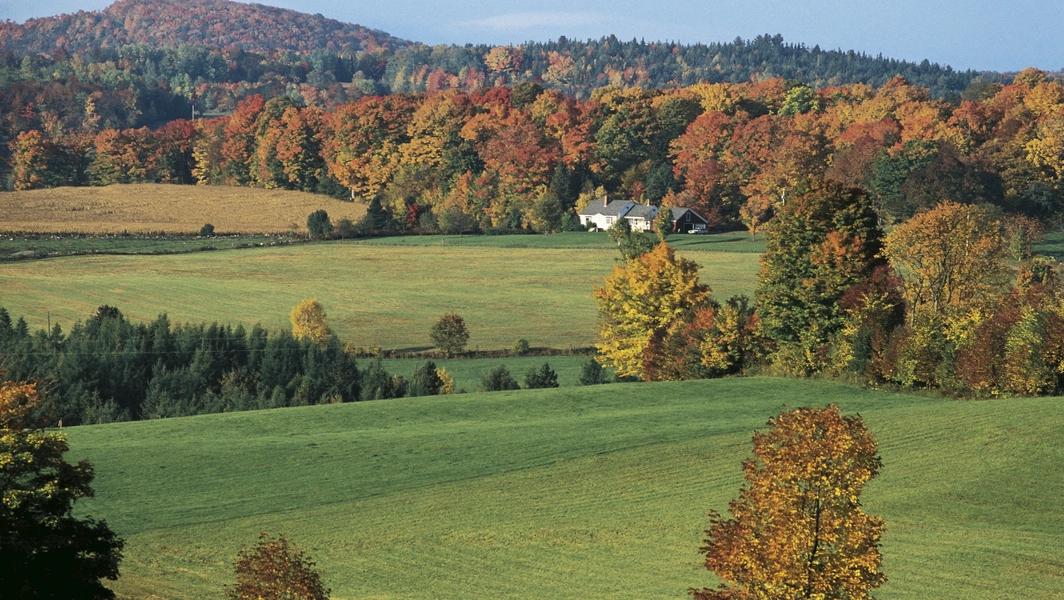 Contrasting life in New England and New York City