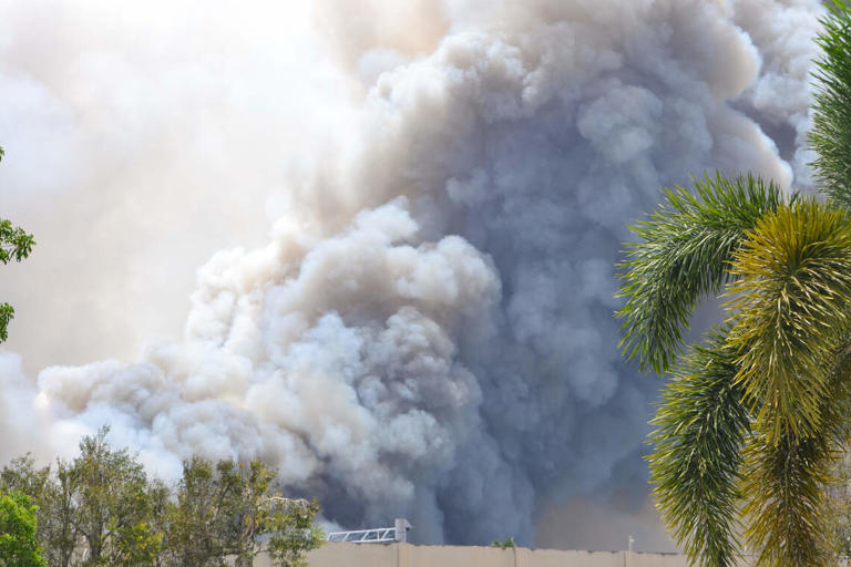 Inside Miami's hellish week: Wildfires, flying soot, dark clouds ...