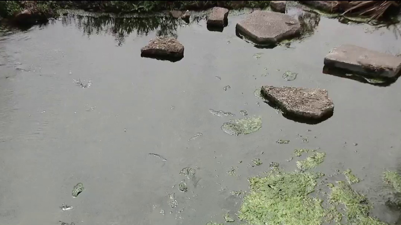 Emergency grant approved to repair waterways