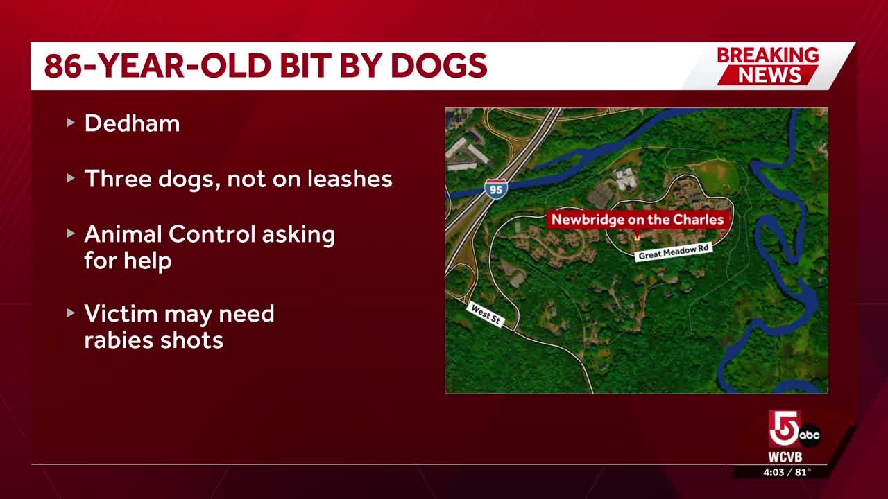 Owners sought in dog attack that hospitalized 86-year-old