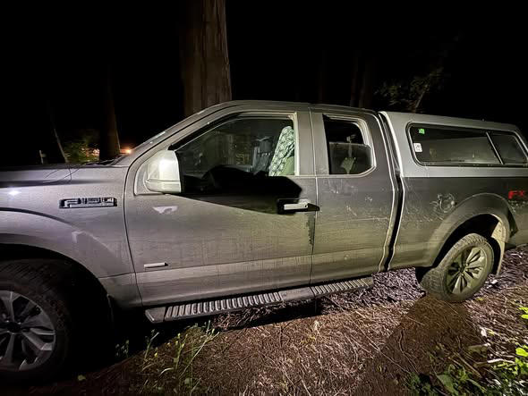 Horse euthanized after Oregon woman dragged it behind her car ...