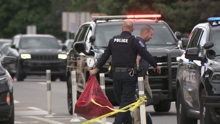 Ferndale resident killed in car crash while riding e-bike, police ...