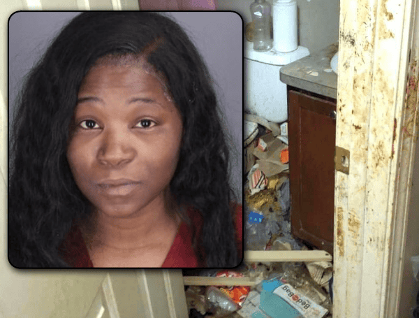 Pizza boxes for beds: Michigan mom sentenced for welfare fraud in ...