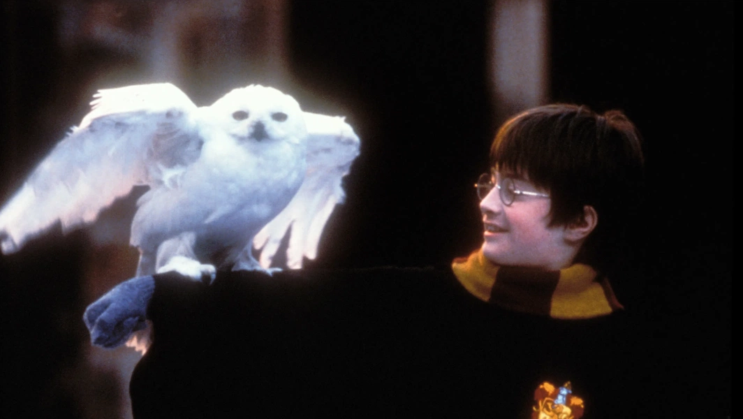 Harry Potter and Neville Longbottom’s shared prophecy paths