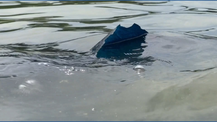 Floating paint pieces and algae bloom raising concerns at newly ...