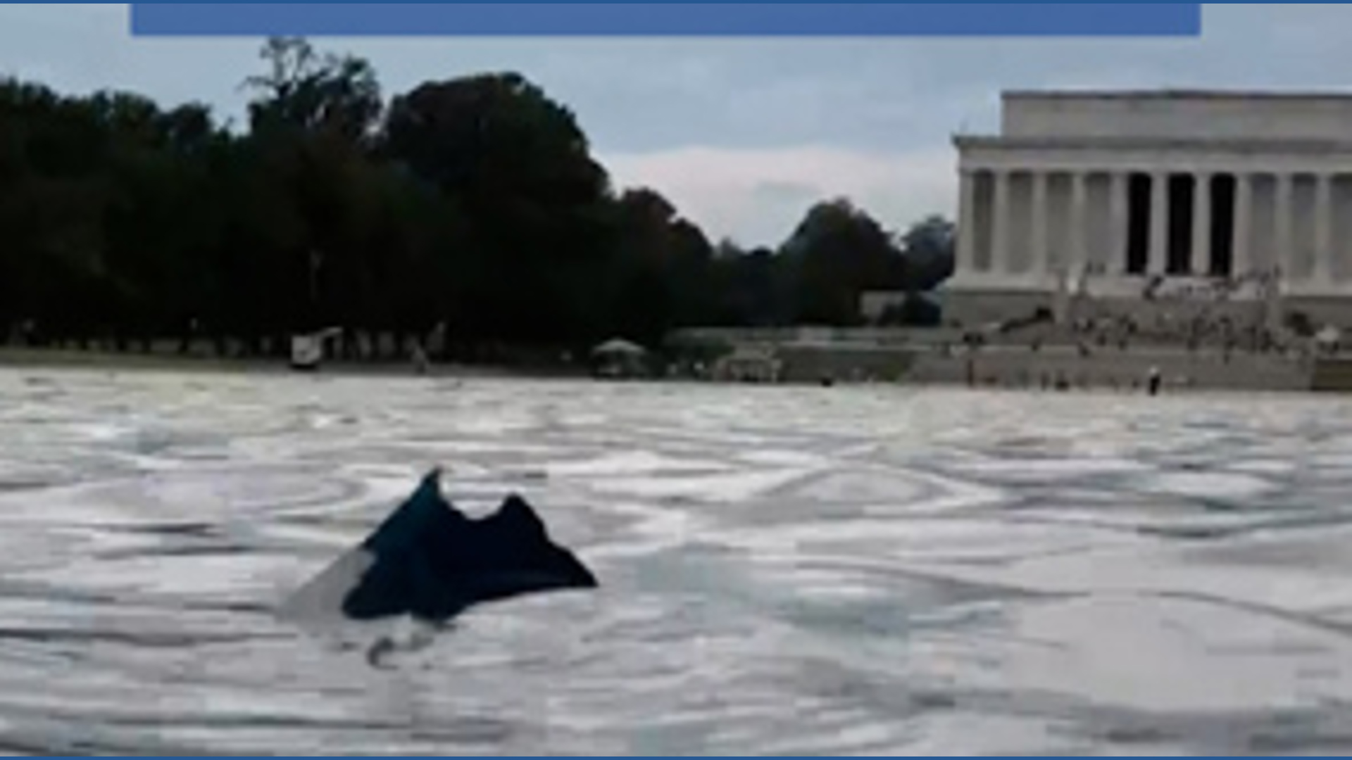 DC Reflecting Pool paint chipping after President Trump's $14.2 million ...