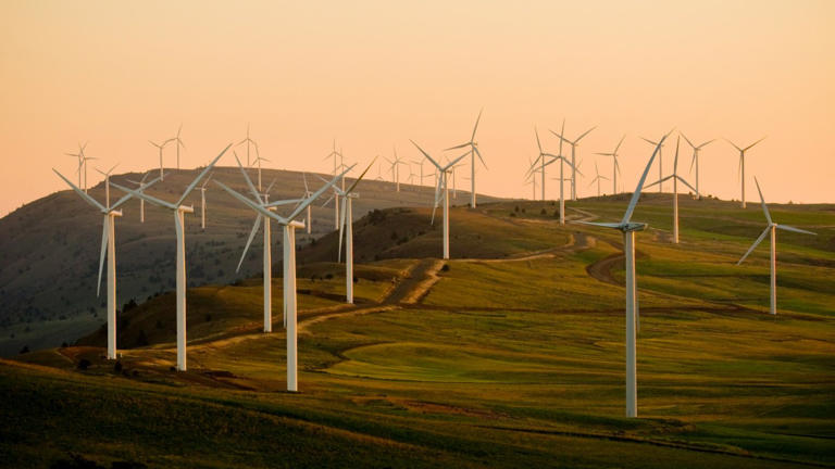 Court ruling deals major blow to Trump's war on wind power