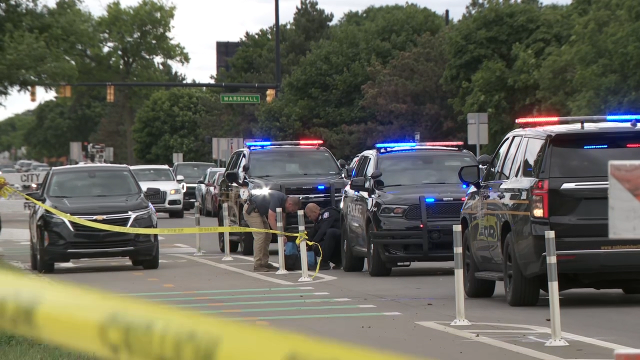 Ferndale resident killed in car crash while riding e-bike, police ...