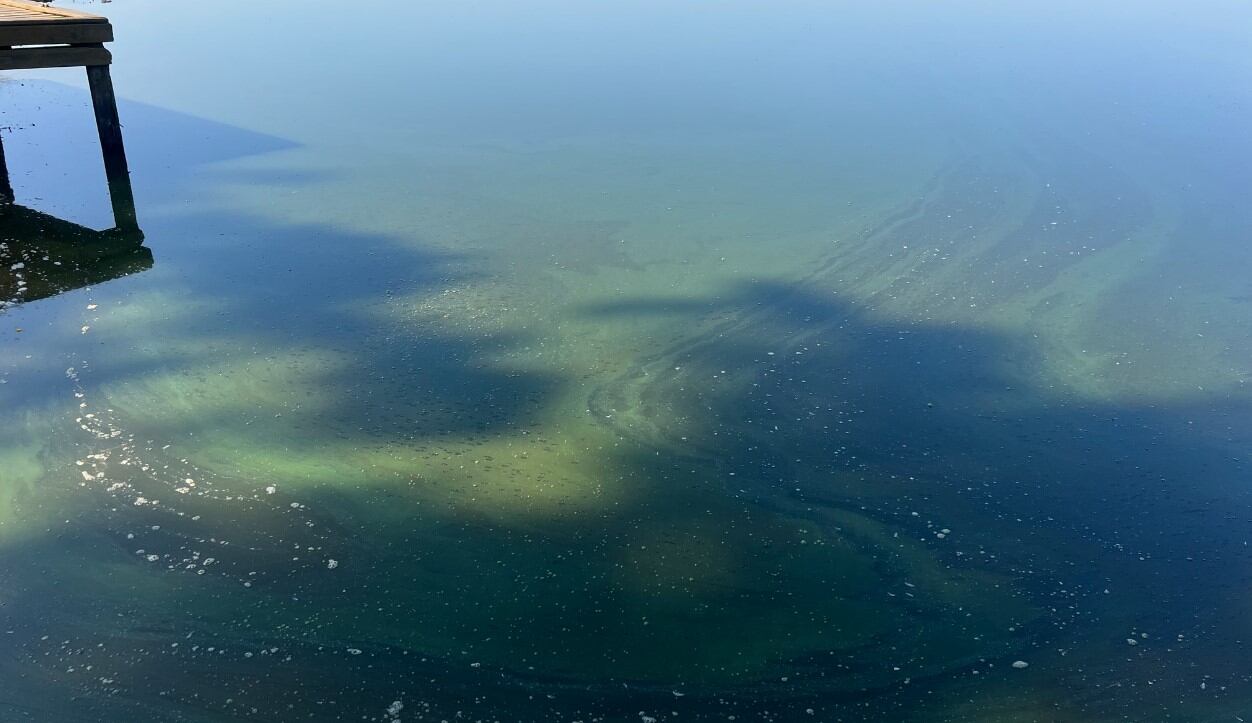 Dozen Kansas lakes under blue-green algae warnings, watches