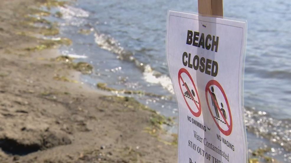 Elevated bacteria levels close multiple popular King County beaches ...