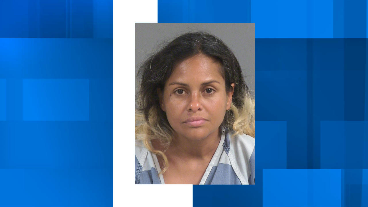 Woman pleads guilty to arson spree, vehicle theft in Charleston area