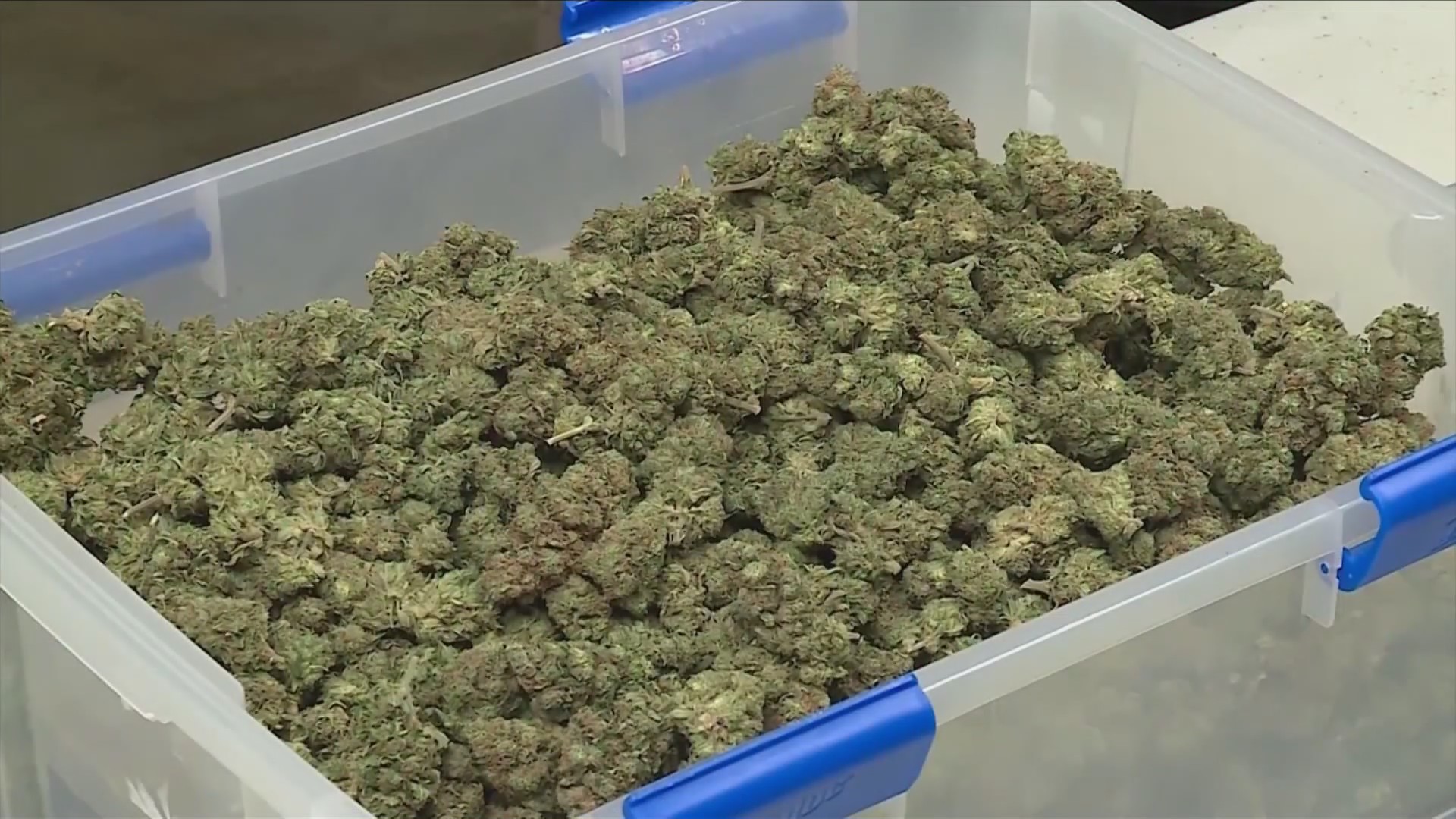Supreme Court says it's not against the law for people who smoke ...