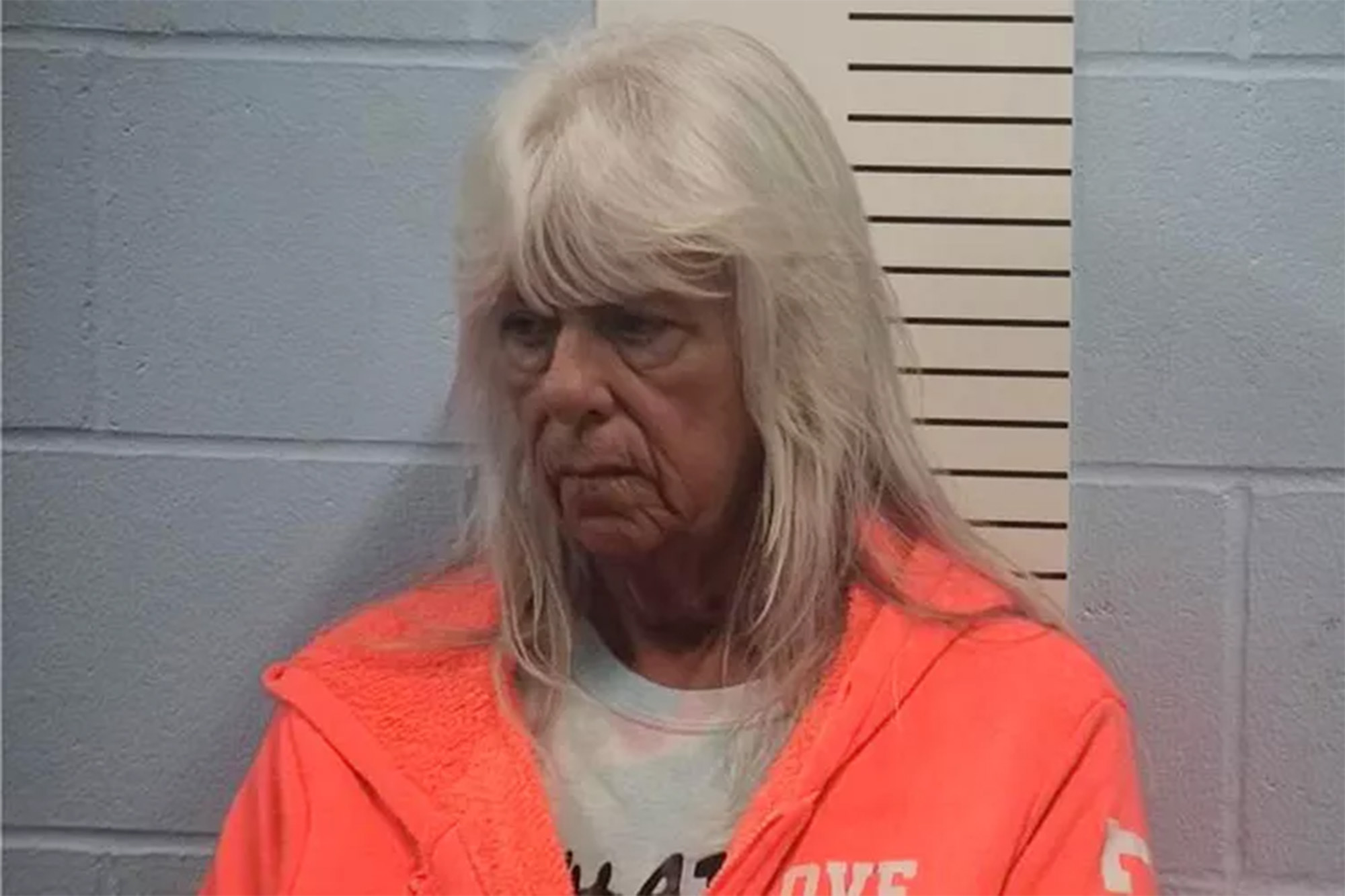 Ghoulish Missouri foster mom admits to trading child for a monkey since ...