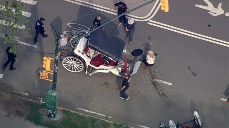 NYC horse carriage ban gains traction following tragic death of teen ...