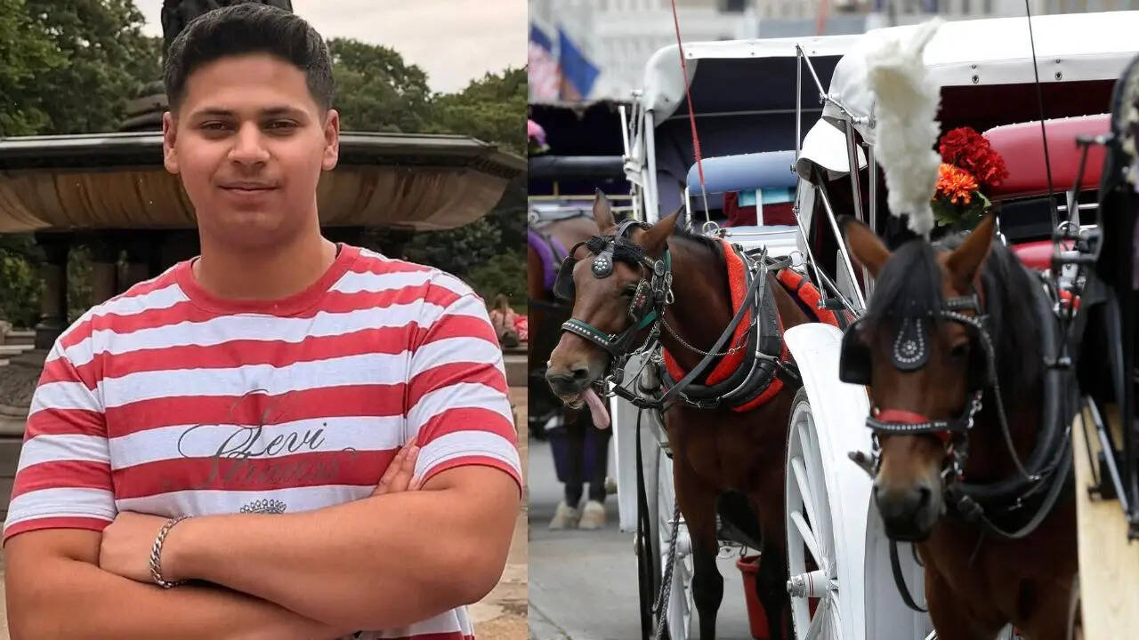 HE WAS SCREAMING: INDIAN TEEN WHO DIED IN NYC CENTRAL PARK CARRIAGE ...