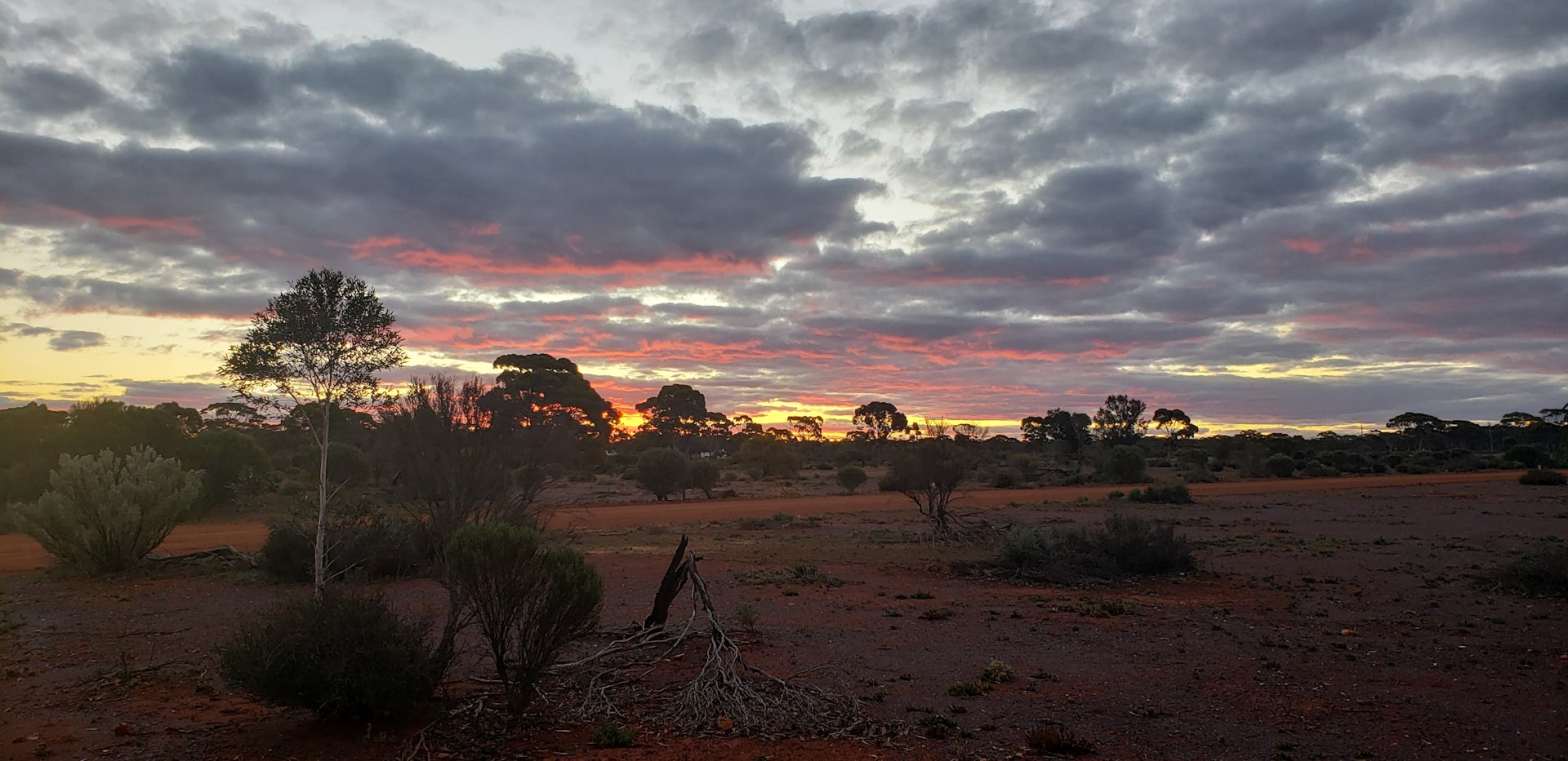 A meteorite impact may have once rained gold on Western Australia – new ...