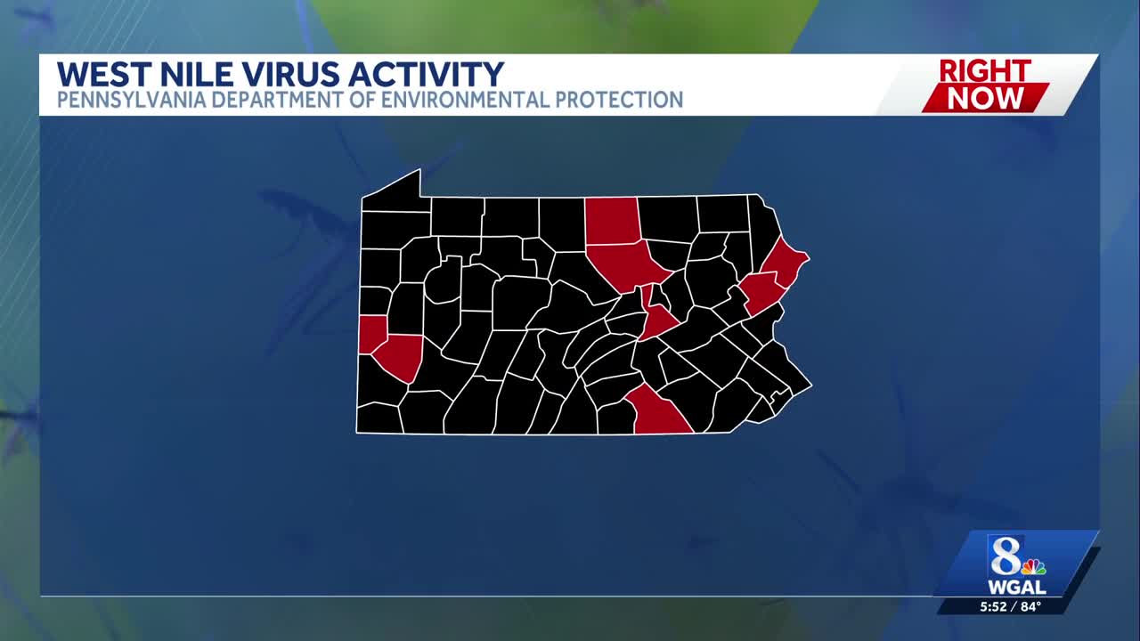 York County mosquito tests positive for West Nile virus
