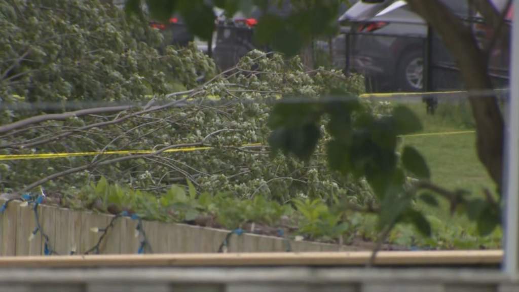 Child airlifted to hospital in serious condition after tree falls in Oshawa