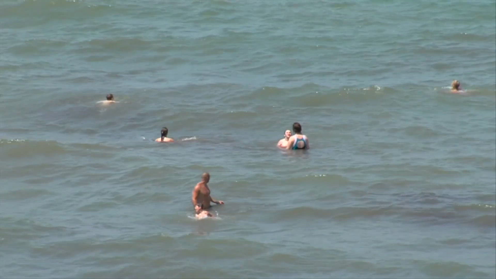What to know about a brain-eating amoeba infection that comes from ...