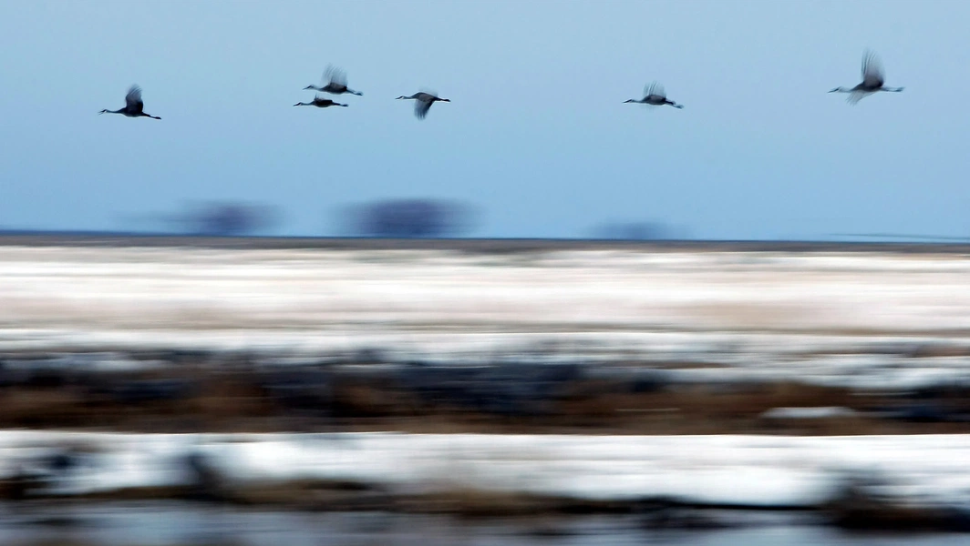 Wildlife refuges and natural landscapes across Oregon