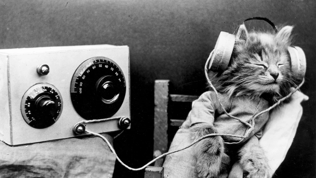 Inside the CIA's Cold War spy animal experiments