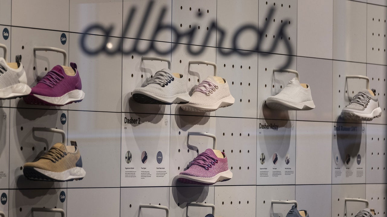 BIRD takes flight: Allbirds pivot to AI company Smartbird is a huge ...