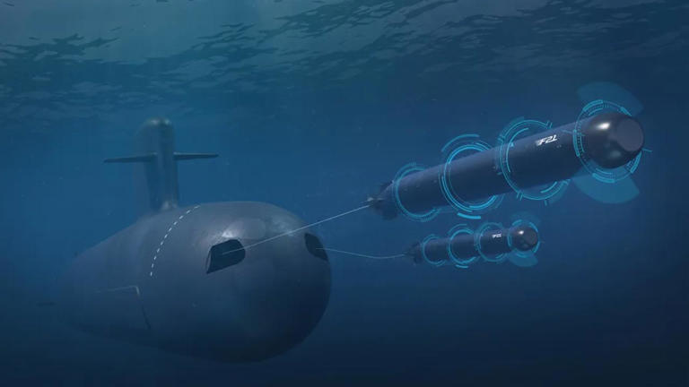 Niederlande werden die ersten in der NATO sein, die F21-Torpedos auf ...