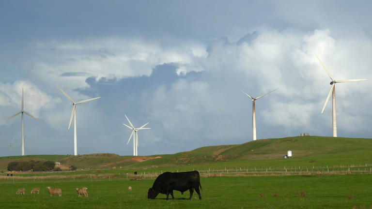 Report claims Coalition's renewable 'buffer zone' puts projects at risk