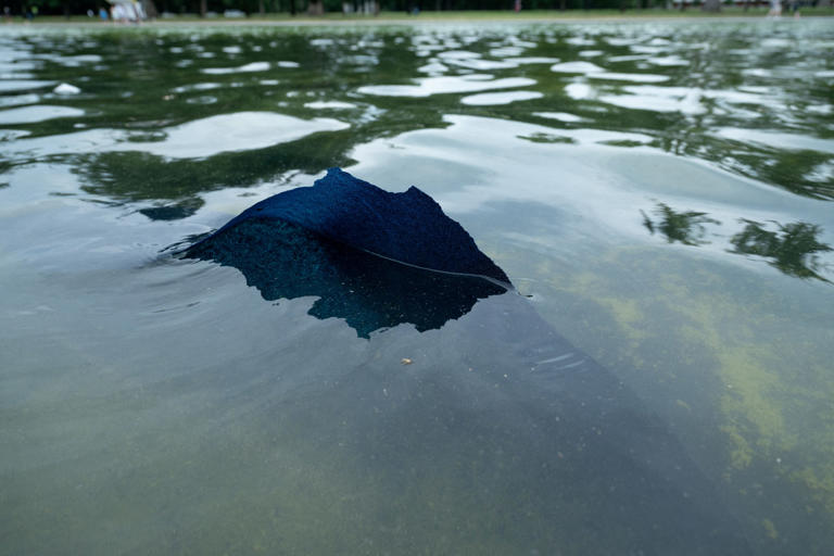 Lincoln Memorial Reflecting Pool paint peeling off: See images