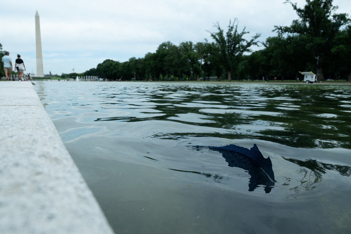 Trump’s blue paint at the Reflecting Pool is already chipping off